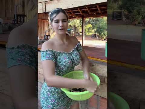 #my daily routine#My daily routine#The best#Routini al yawmi#florecita#The best#Kitchen florecita