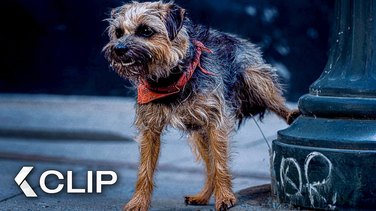 STRAYS Clip - “If You Want Something, Pee on it!” (2023) - YouTube