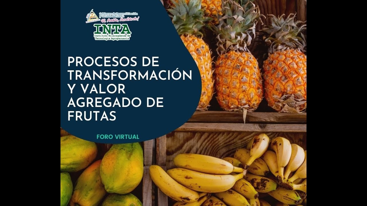 Proceso de transformación y valor agregado a las frutas - YouTube