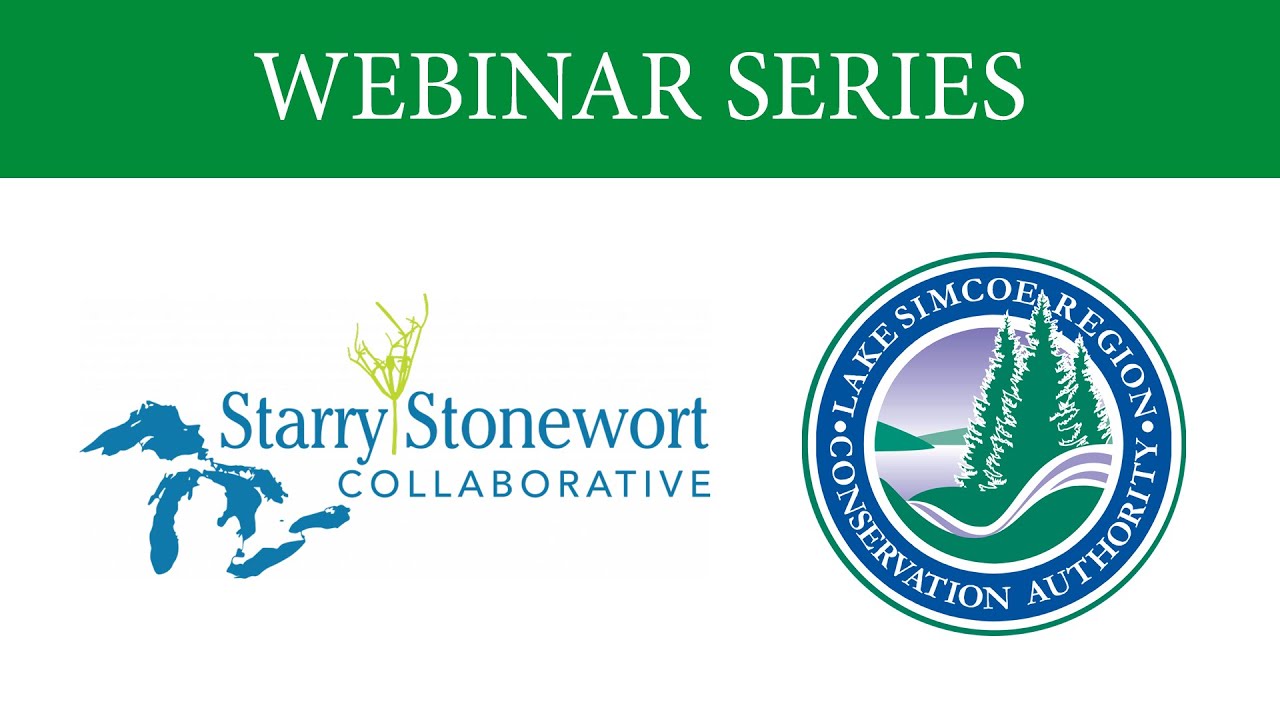 (5/27/2020) Aquatic Plants of Lake Simcoe : Tracking the Spread of Invasive Starry Stonewort ...