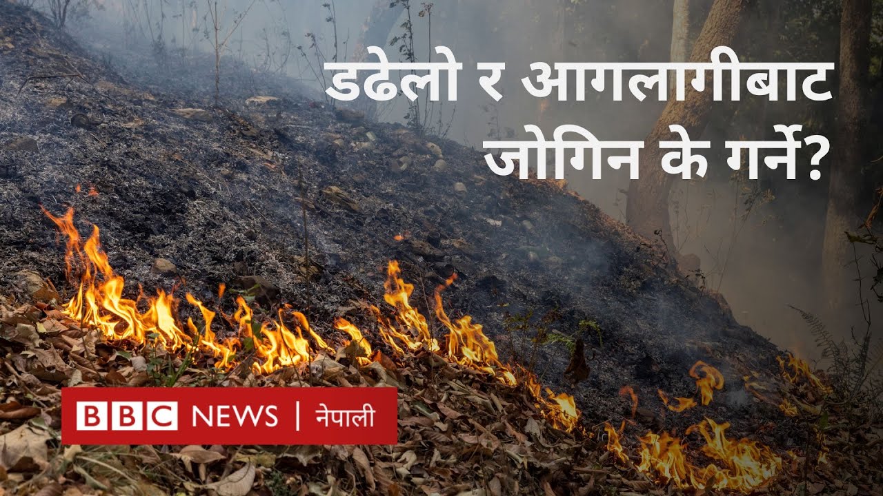 Nepal wildfire: नेपालमा डढेलो र आगलागीको प्रकोप, जोगिन के गर्ने? -BBC ...