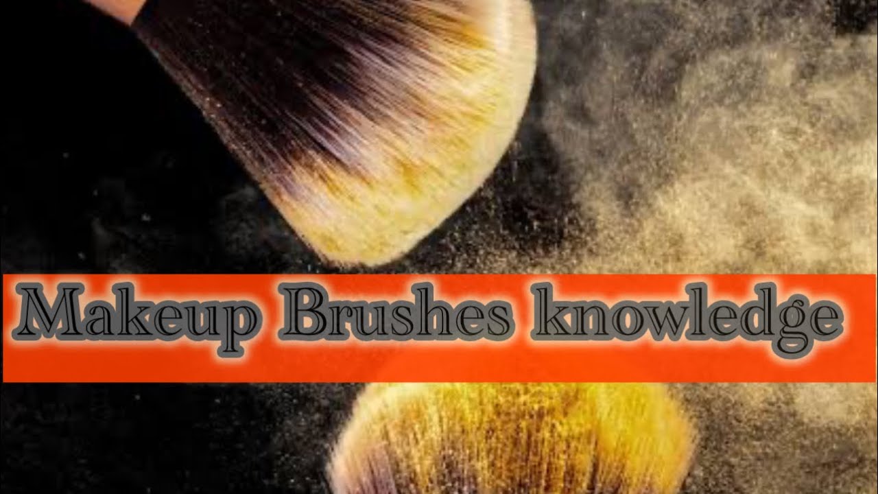 Makeup brush knowledge || कौंसा ब्रॉष कब यूज़ करें मेकप में? - YouTube