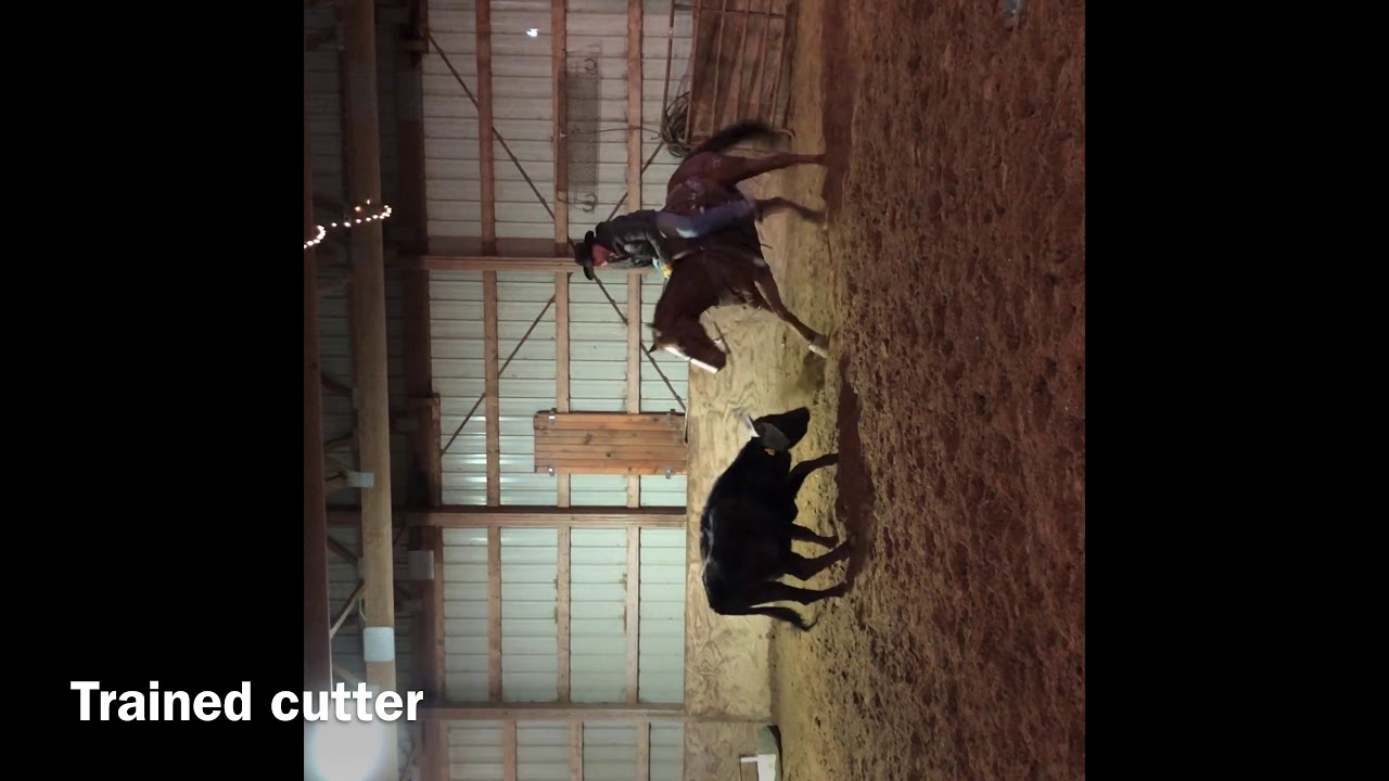 chula dual oak ropin - YouTube