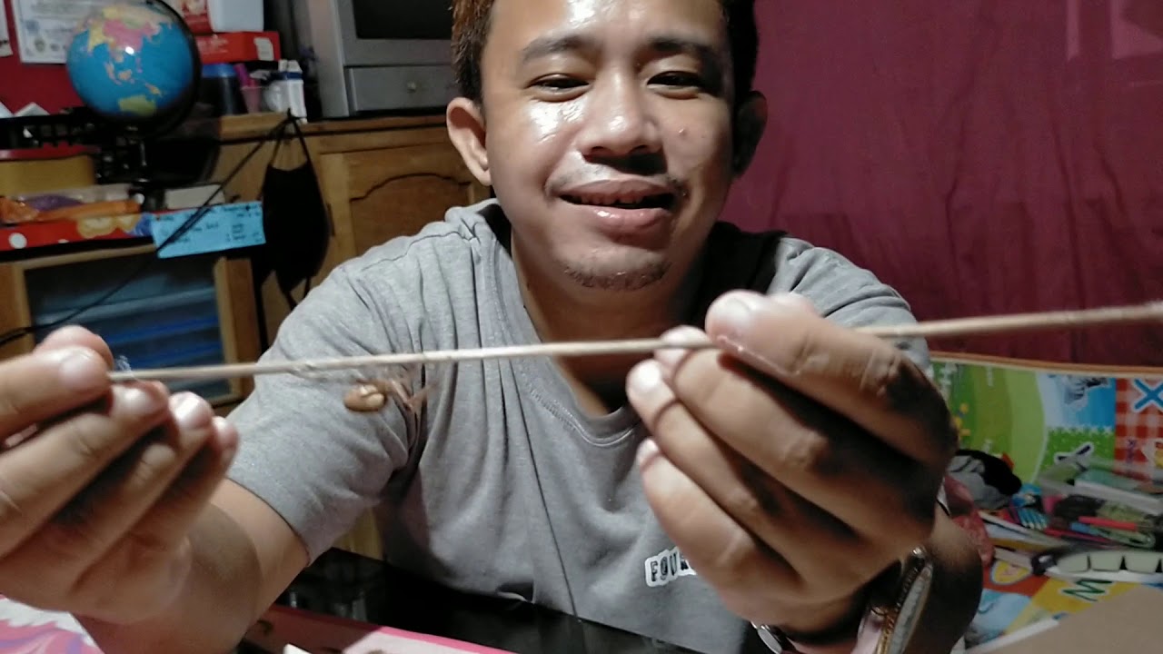 Dalawang Good Size VS OS: GAGAMBA FIGHT - YouTube