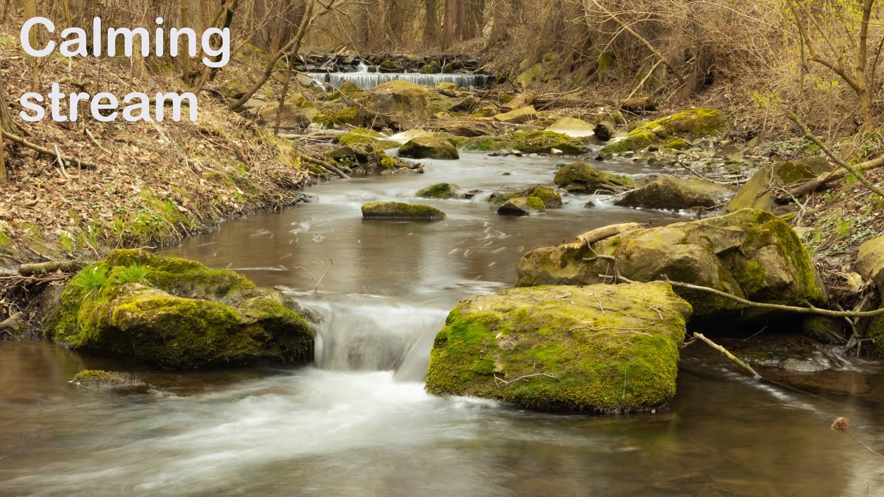 Calming Stream Sounds I Stream Sounds for Relax and Sleeep - 4K Nature ...