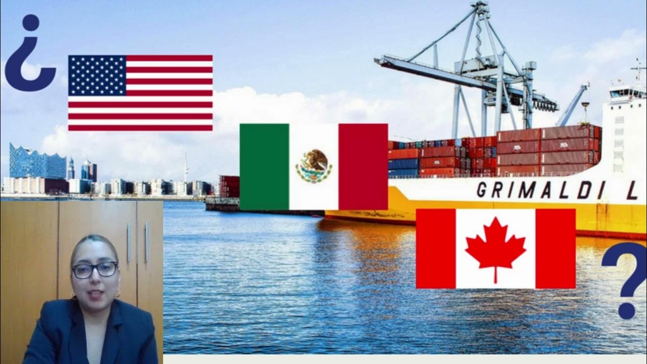 Ensayo "Del TLCAN al T-MEC" por Carolina Orihuela - YouTube