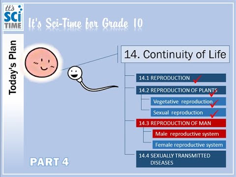 Grade 10 Unit 14 Reproduction Lesson 4 640p - YouTube