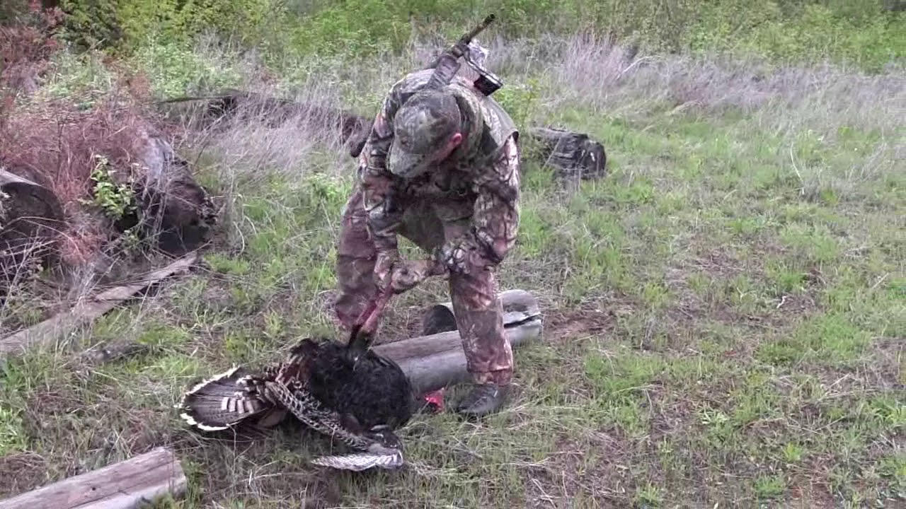 Turkey Hunting Spokane WA # 61, Idaho Success with Cole - YouTube