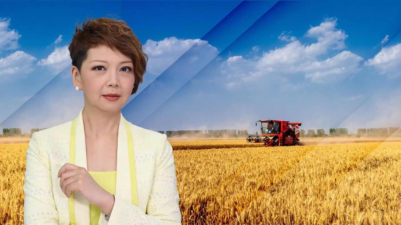 What are the most important highlights of 'No. 1 central document ...