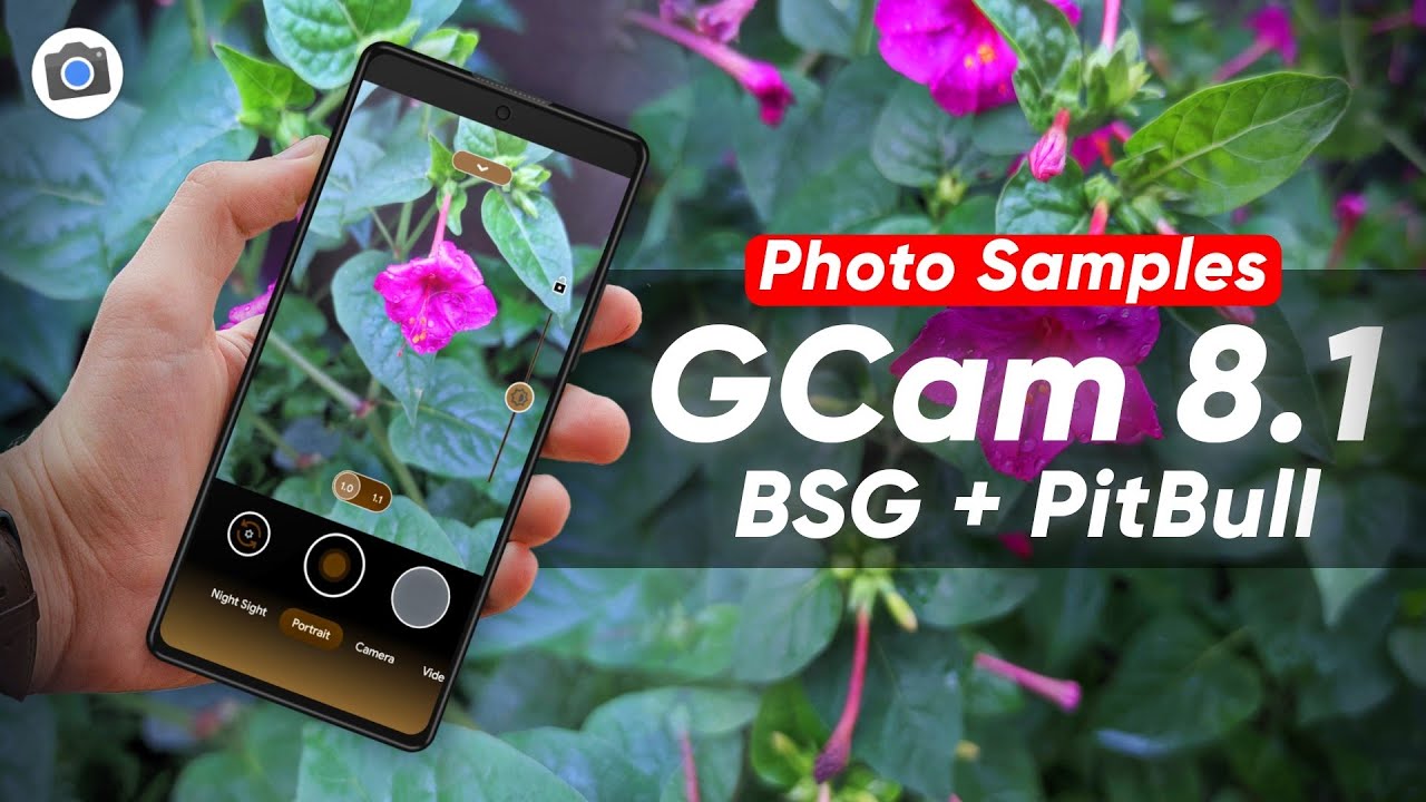 GCam 8.1 BSG + PitBull Mod (Photo Samples) Google Camera for Any ...