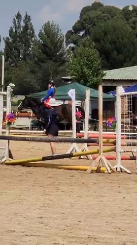 Yesterday's show on sinbad 60&70cm class 2nd in 60cm #show #subscribe #horse #shorts - YouTube