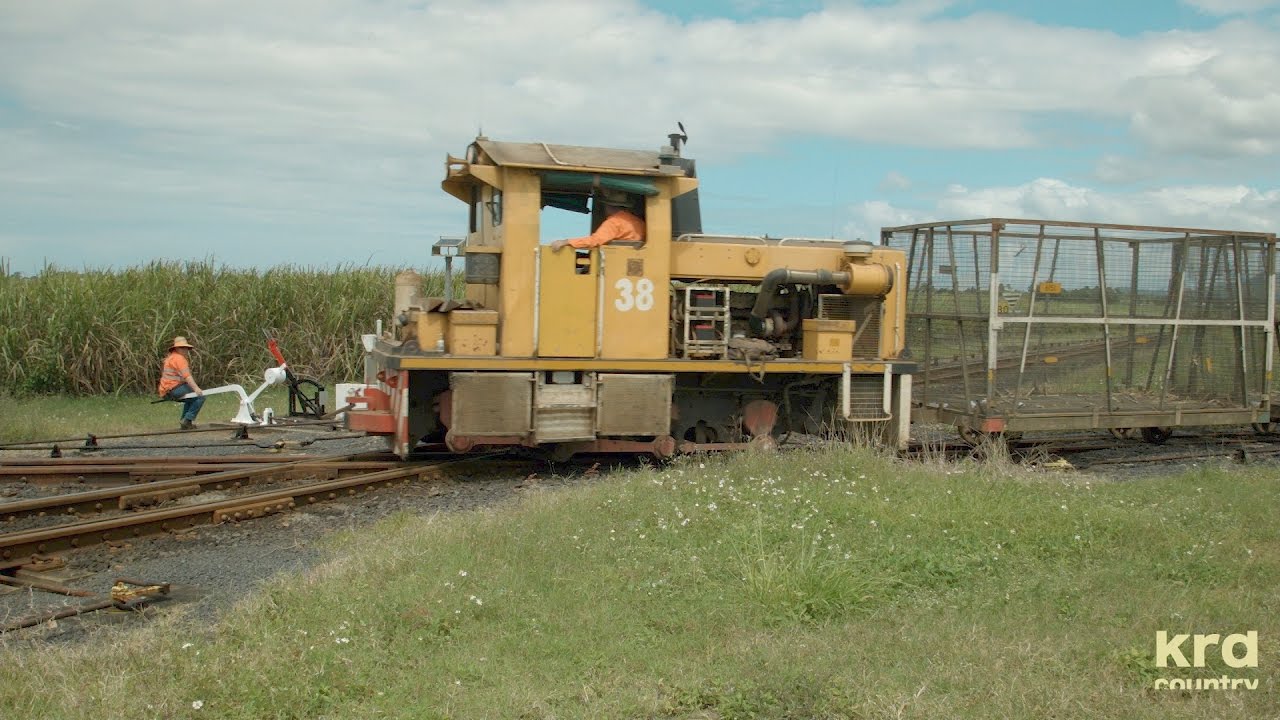 Sugar Cane Trains Australia: South Johnstone 2016 - YouTube
