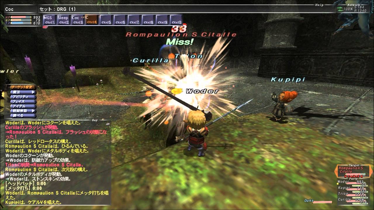 FFXI 竜騎士DRG AF3 - YouTube