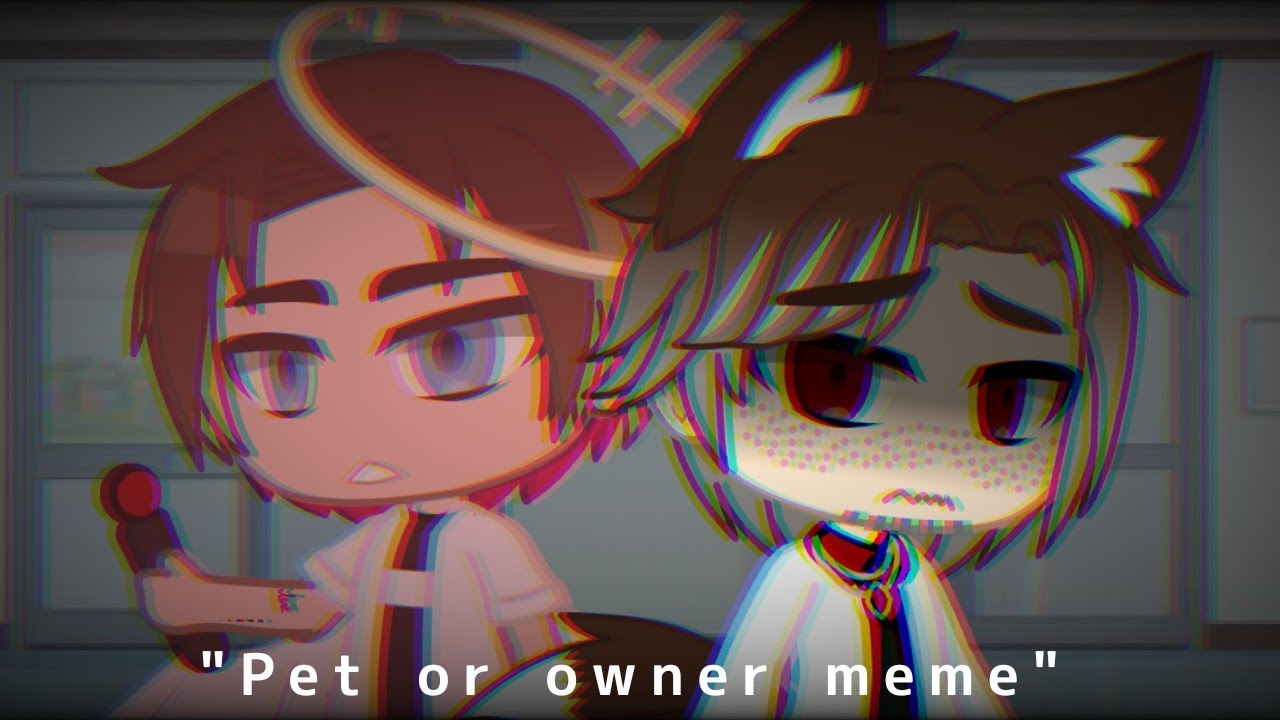 "Pet or owner meme" NewScapePro SCP Foundation - (Gacha club) - YouTube