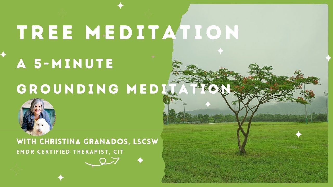 Tree Meditation - YouTube