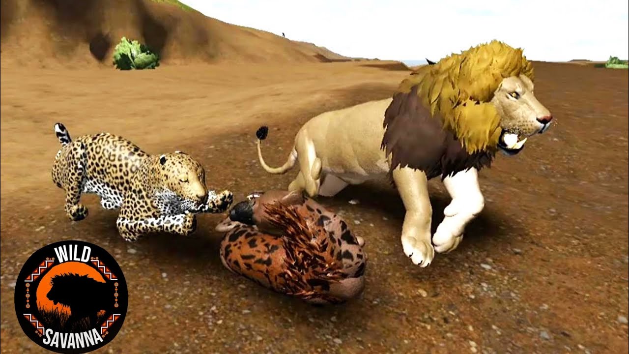 THE SHORT LIFE OF A LEOPARD! Wild Savannah Roblox - YouTube