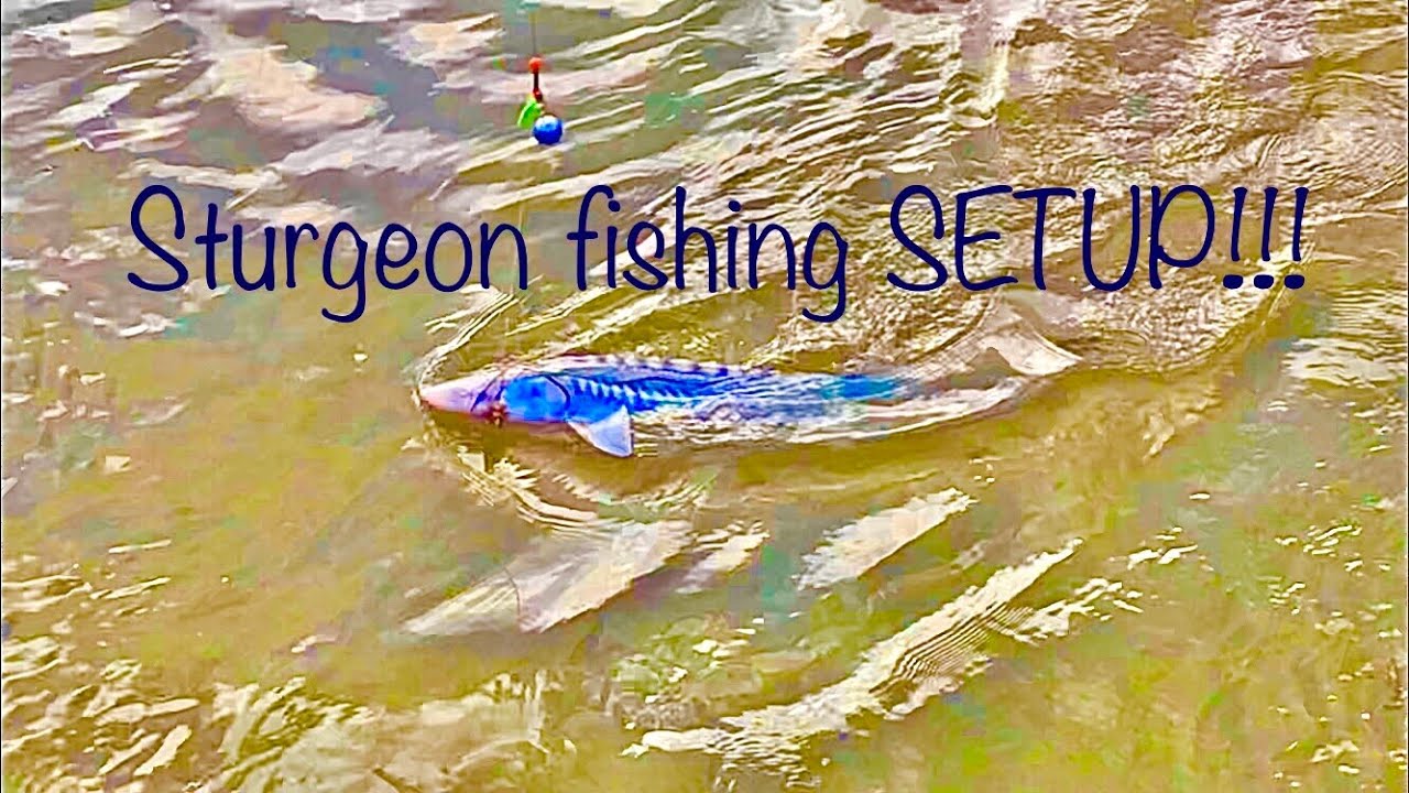 Sturgeon fishing setup | Oregon fishing!!! - YouTube
