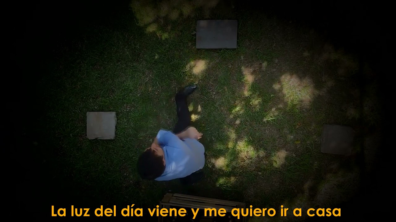 Kantor Bio-objeto - YouTube