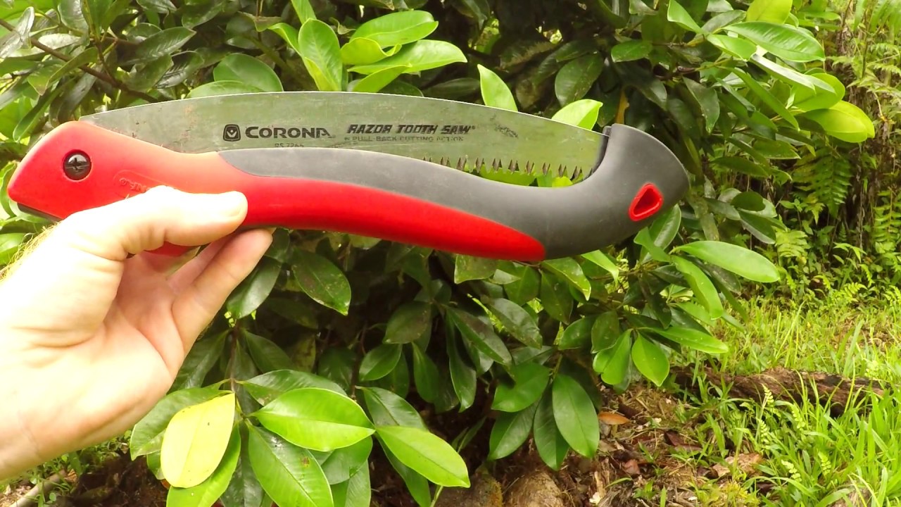 Corona Razor Tooth 10" Blade Folding Saw Review - YouTube