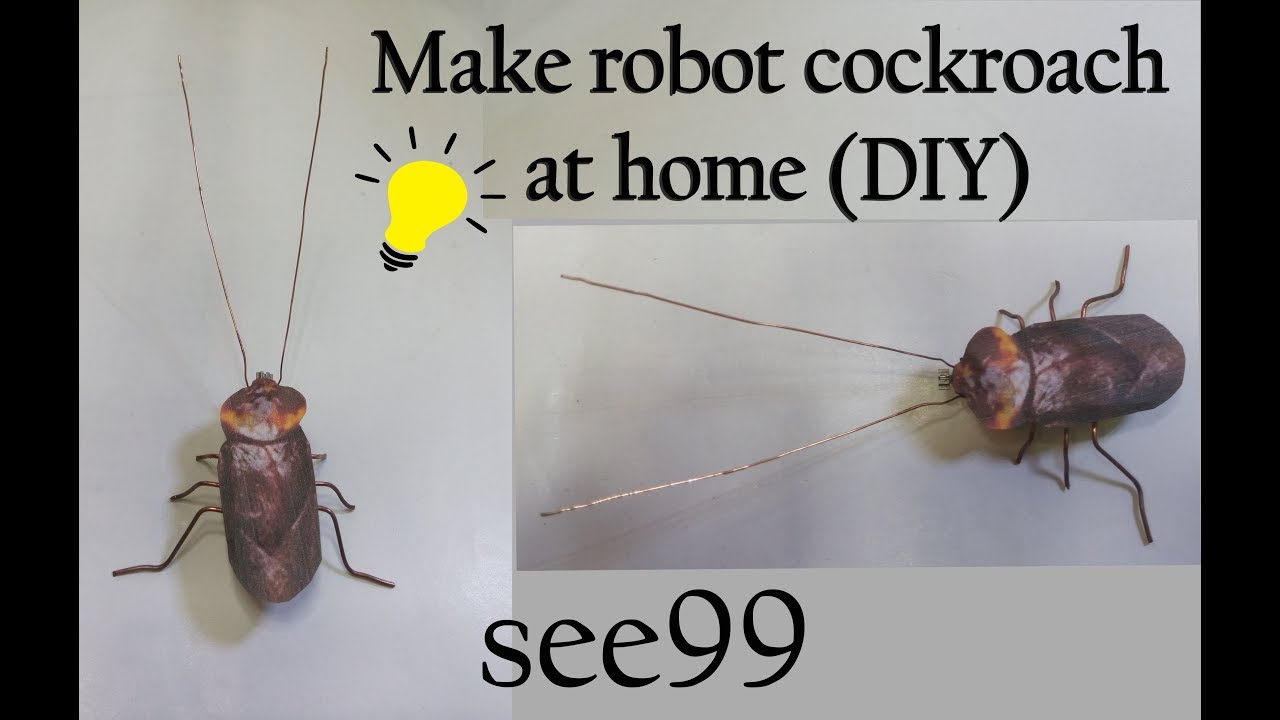 How to make robot cockroach at home (DIY) - YouTube