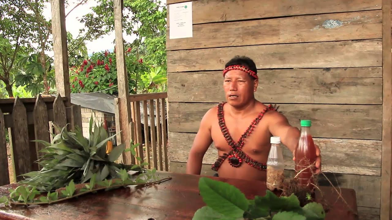 AYAHUASCA EL ENIGMA DEL AMAZONAS - DOCUMENTAL - YouTube