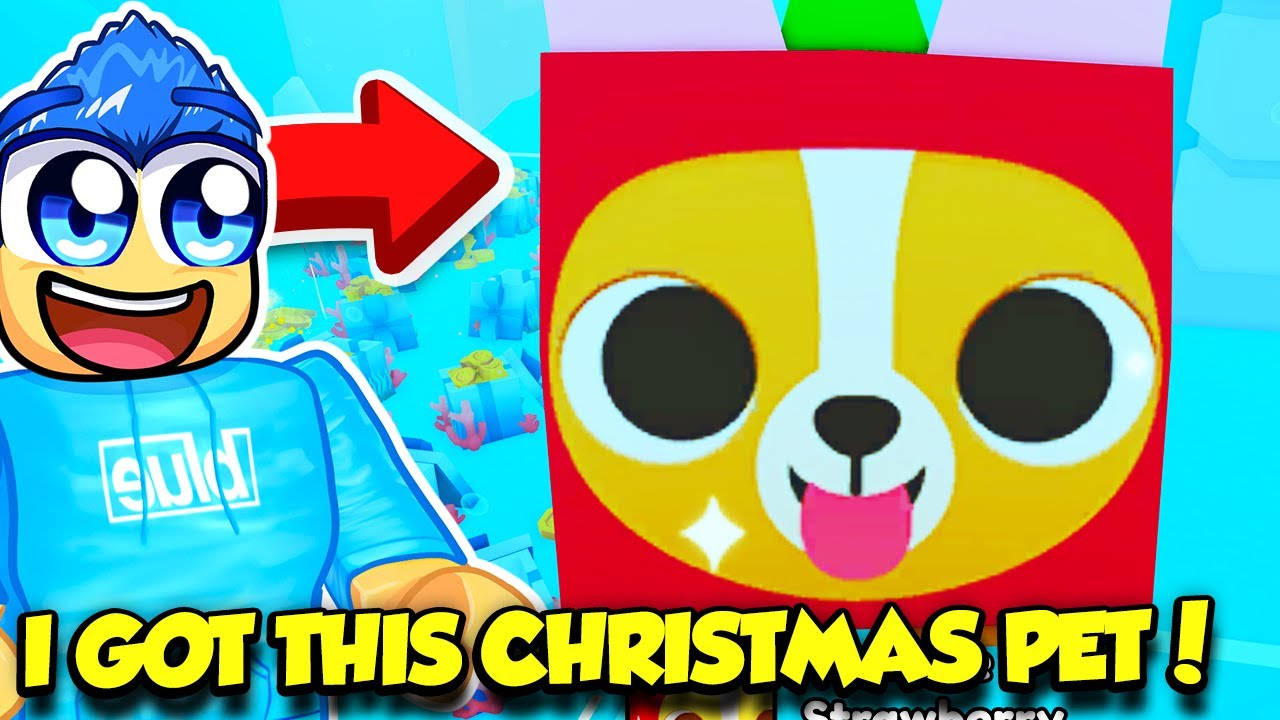 I Finally Played THE PET SIMULATOR 99 CHRISTMAS UPDATE And GOT THIS ...