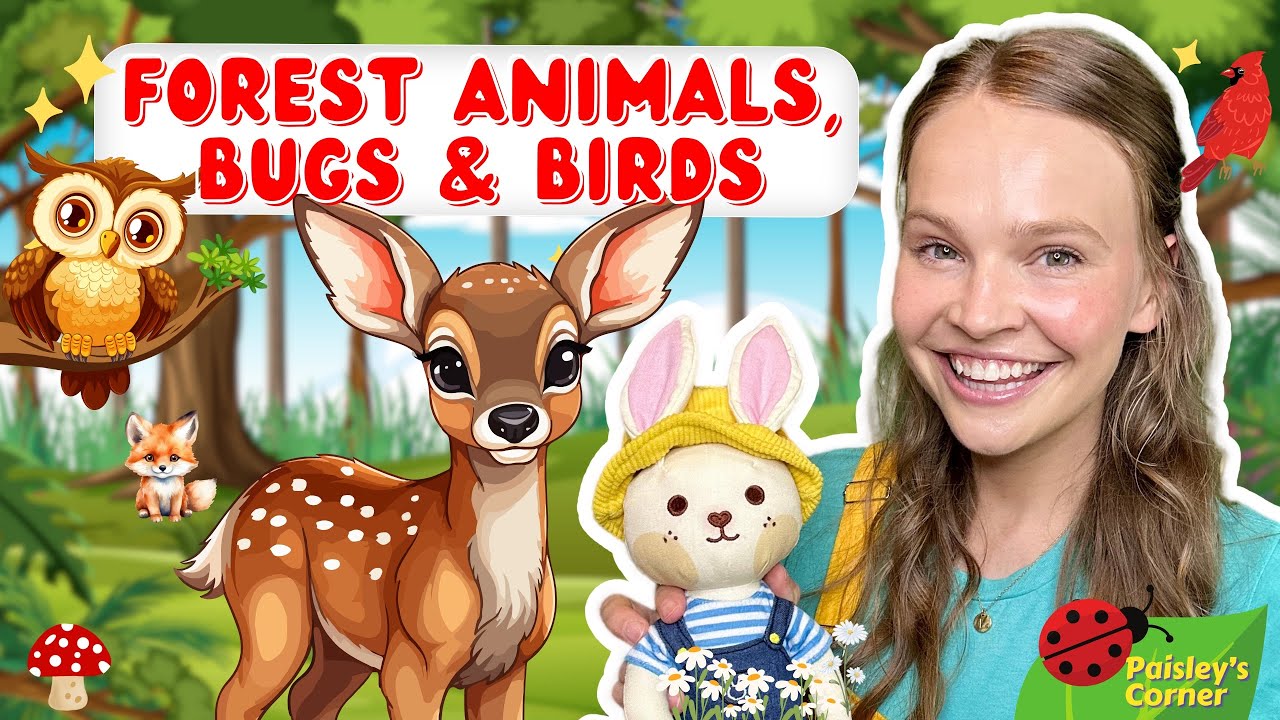 Learn Animals, Birds, & Bugs for Kids - Toddler Learning Video ...