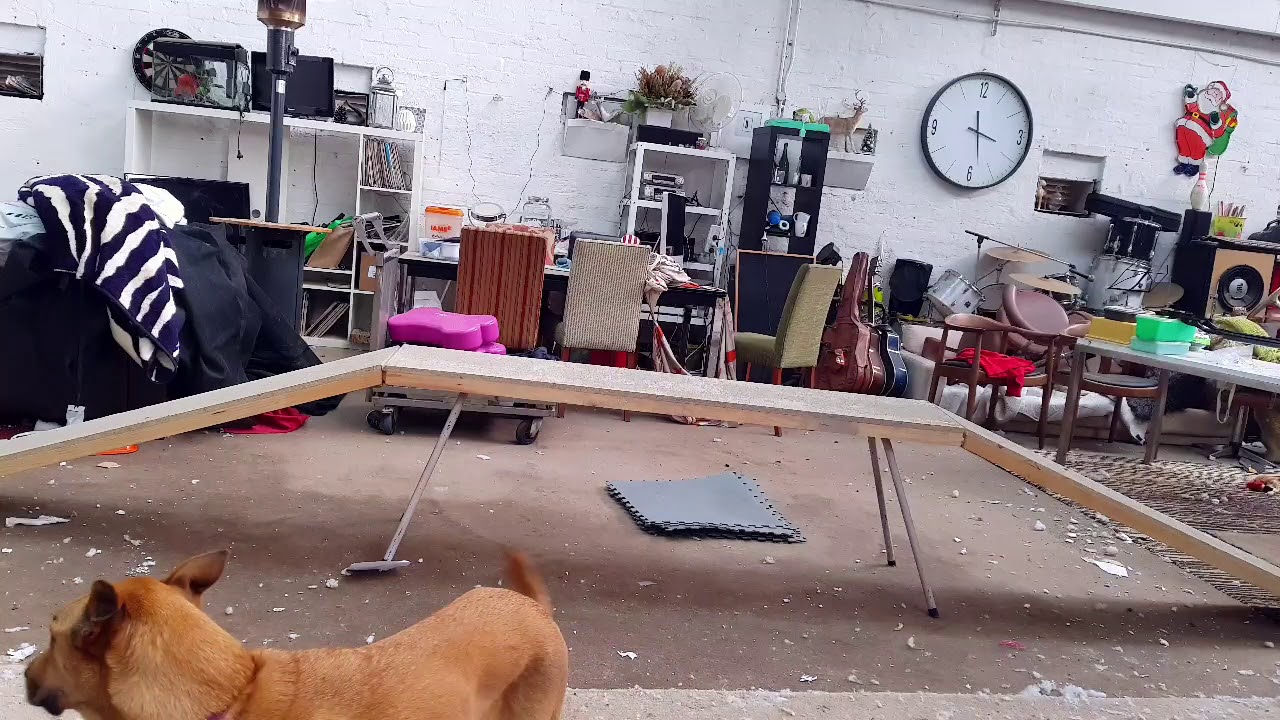 GINGI - Coonhound paralysis recovery Day #49 - YouTube