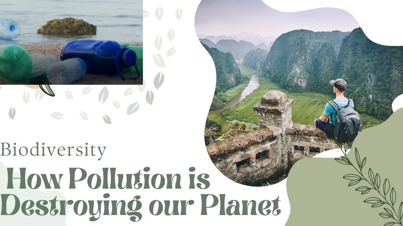 Biodiversity at Risk: How Pollution is Destroying our Planet - YouTube
