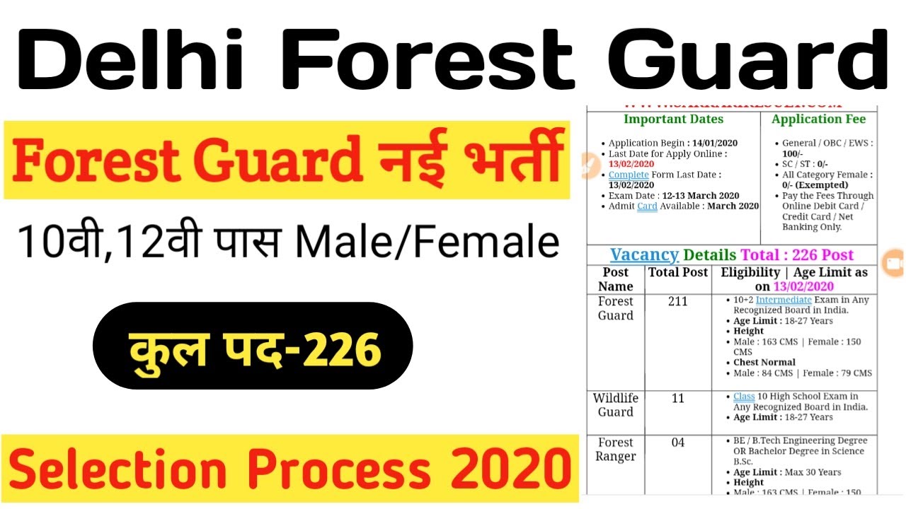 Delhi Forest Guard Online Form 2020 - YouTube
