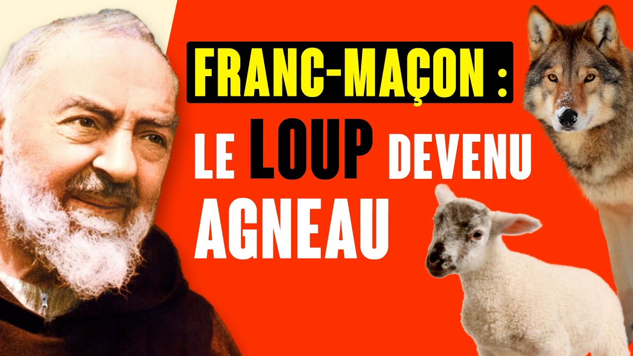 Le Saint-Office inflexible même face au bons fruits de l’apostolat du ...