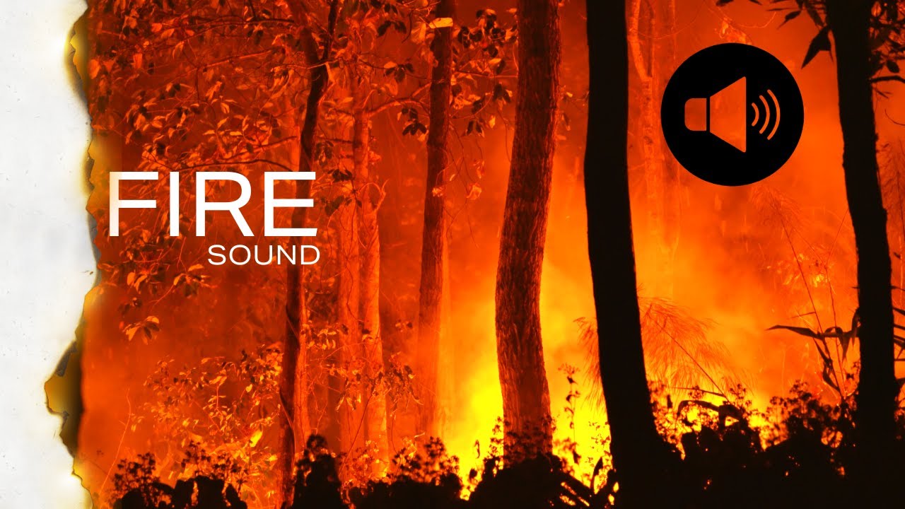 The Terrifying Reality of High-Intensity Forest Fires - YouTube