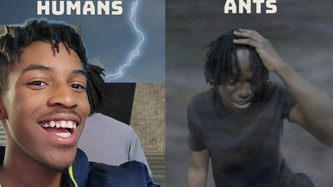 How Human React to Lightning vs How Ants React to Lightning REACTION - YouTube