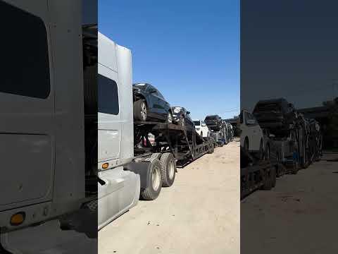 İlk avtomobil razılaşmanız buradan başlayır