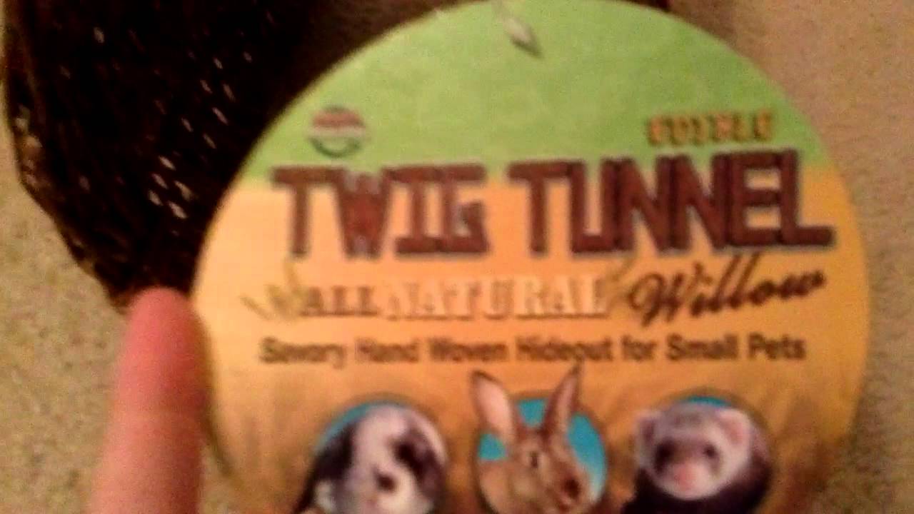 PetSmart rabbit haul/ mini dog haul! - YouTube