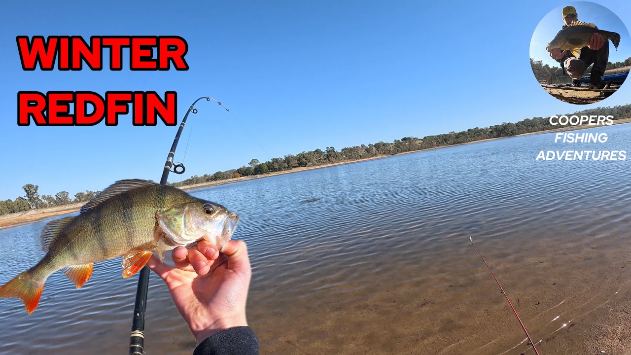 BIG Winter Redfin Fishing | NEW PB?!?! - YouTube