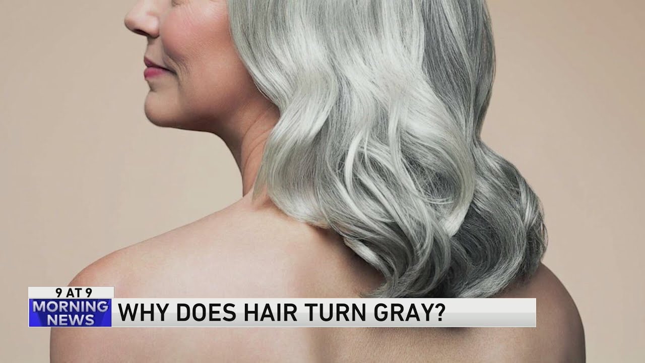 Why does hair turn gray? - YouTube