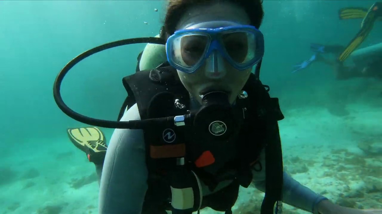 APO ISLAND SCUBA DIVE 2019 - YouTube