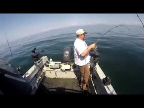 Neah bay 2019 lingcod and blackbass - YouTube