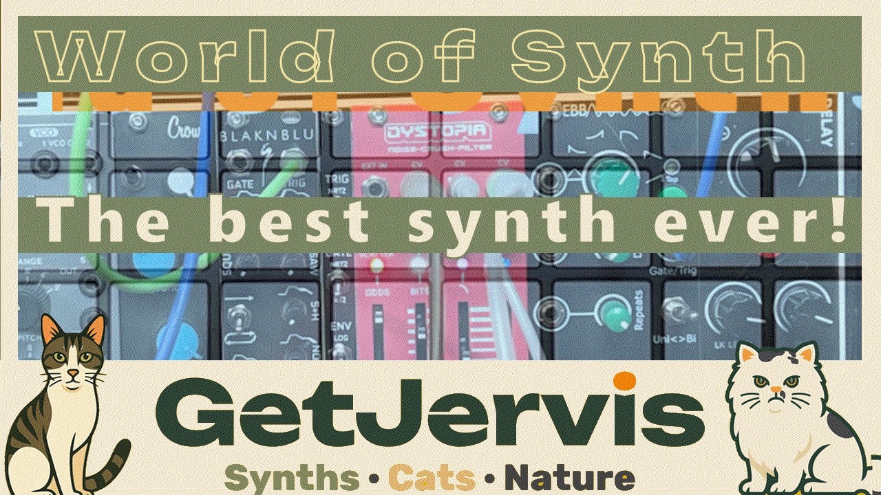 Synth Secrets: All synths are equal Episode 72 #vintage #chat #cat # ...