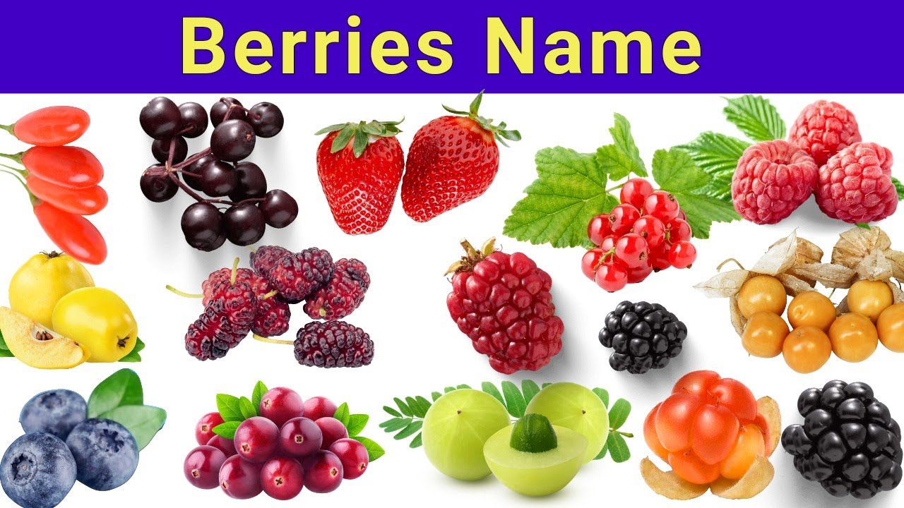Names Of All Berries| Learn Berries Name In English With Pictures And ...