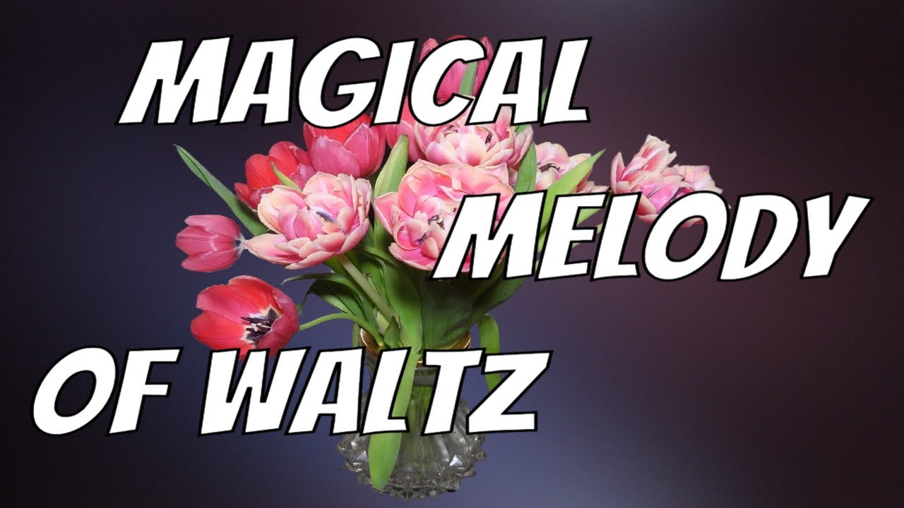 GREAT CLASSICAL MUSIC - WALTZ BY STRAUSS - YouTube