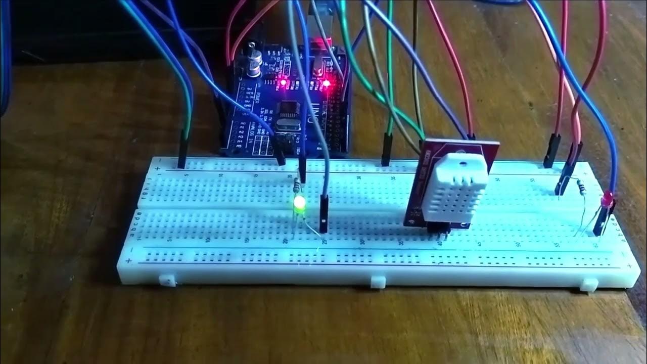 SIT111 Task 3 5C Integrated Environmental - YouTube