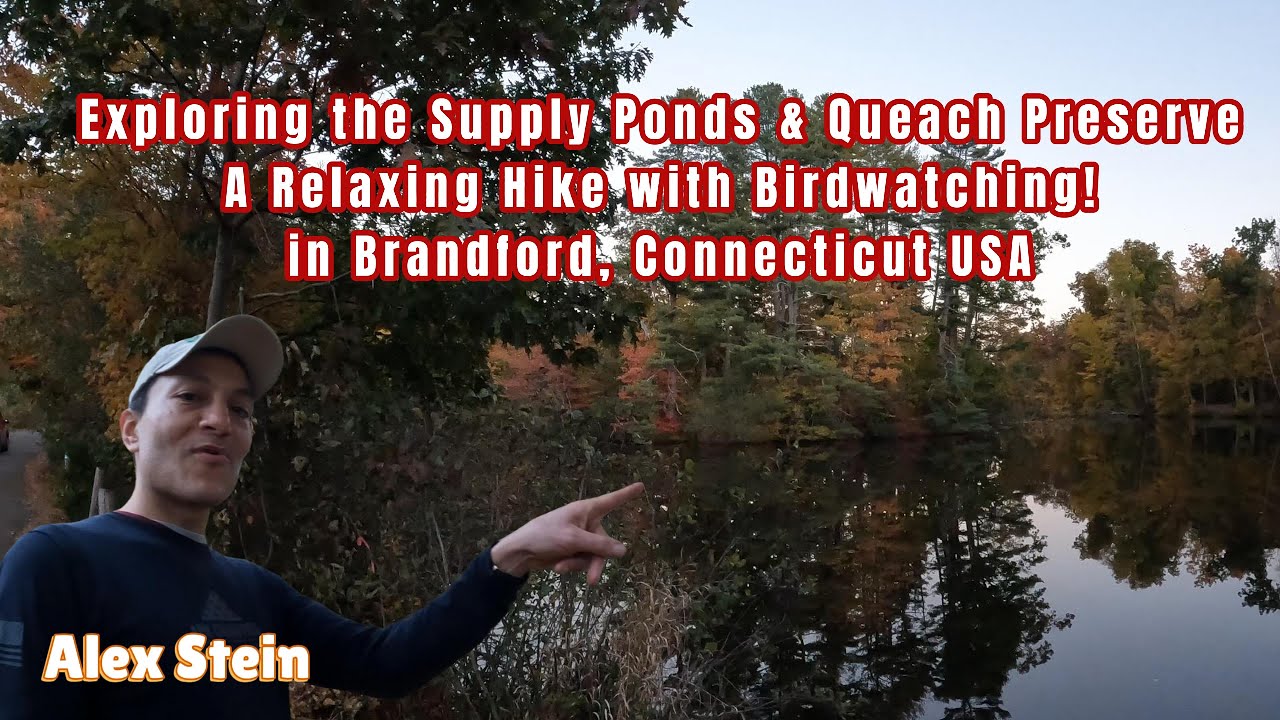 EXPLORING THE SUPPLY PONDA & QUECH PRESERVE IN BRANDFORD CONNECTICUT ...