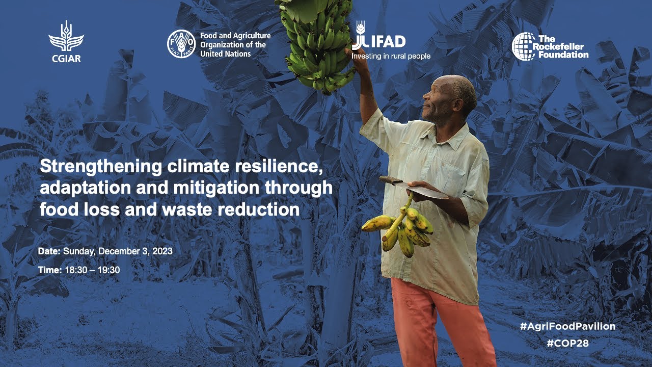 Strengthening climate resilience, adaptation and mitigation through ...