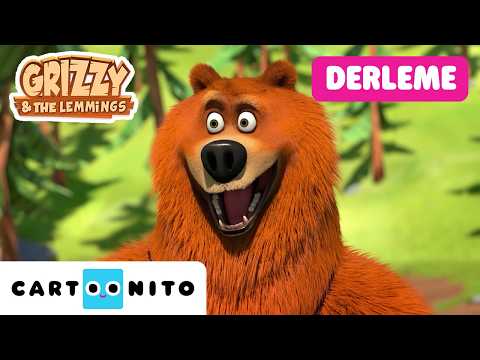 Orman Kaosunun ZİRVESİ! 🐻💥| GRIZZY VE LEMMINGLER | @CartoonitoTurkiye