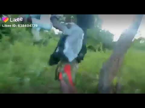 Nyamaume 3