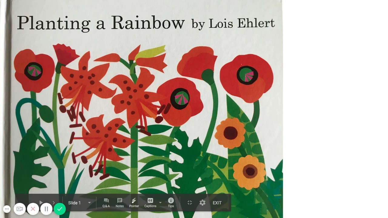 Planting a Rainbow - Lois Ehlert - YouTube