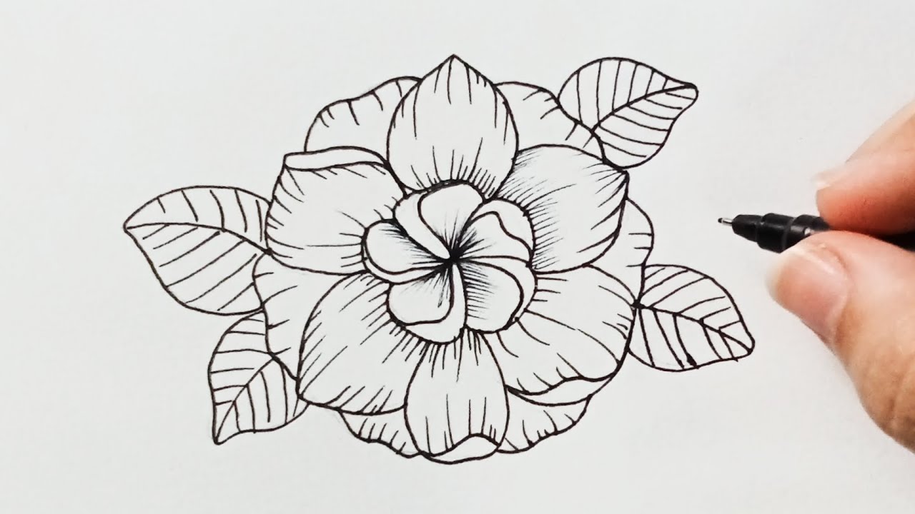 How To Draw A Gardenia Flower | Easy Step By Step Flower Drawing ...