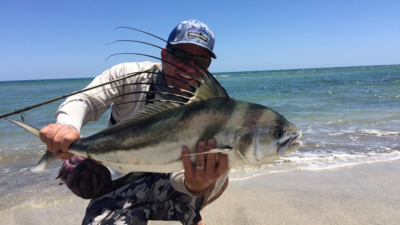 Rooster Alley ( Flyfishing for Roosterfish) - YouTube